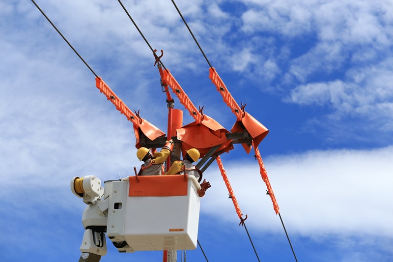 EVN SPC tìm giải pháp nâng cao chất lượng điện | Tạp chí Năng lượng ...